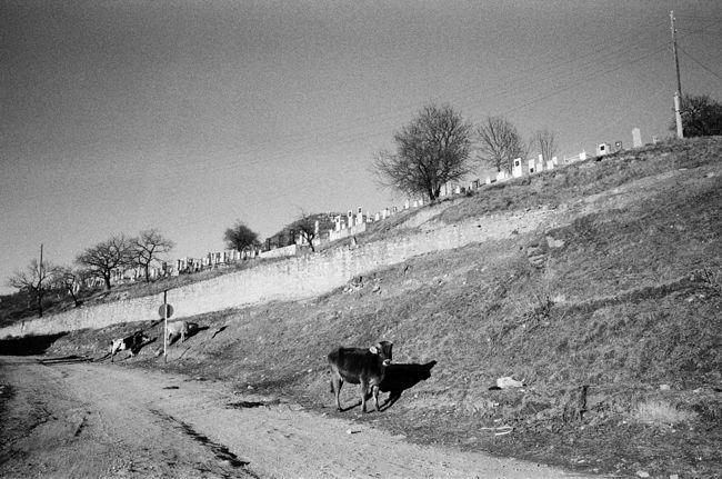 Kate Kobzar. Dagestan